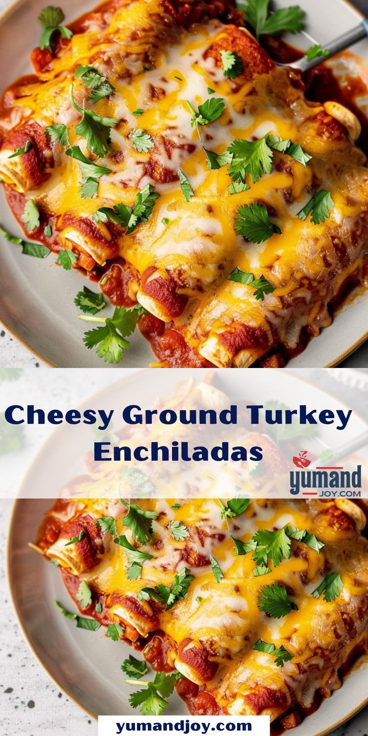 Home » Recipes » Dinner » Cheesy Ground Turkey Enchiladas